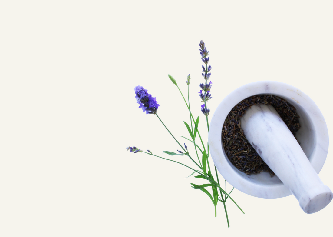 Our Products – Living Alchemy USA